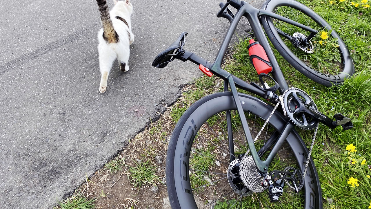 Di2、ほっしぃいwww 新型デュラエース＆アルテグラが羨ましくて、電動コンポのワクワクが止まらない(ﾟ∀ﾟ)！ | Boriko Cycle｜ロードバイク ＆ マウンテンバイク ブログ