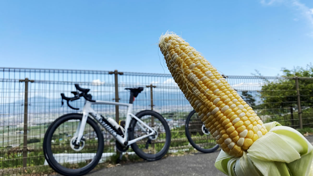 富士ヒルの時期限定の甘々娘を食べに行こう！ 隠れロードバイク天国・山梨の秘境・絶景・美味を巡る県道36号線ルートが凄かった！ | Boriko Cycle｜ロードバイク ＆ マウンテンバイク ブログ