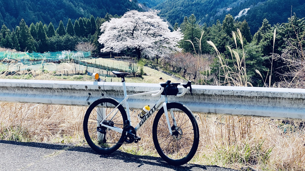 ロードバイクで見たい絶景が埼玉県にありました。Giant TCRで出会う八徳の一本桜！ | Boriko Cycle｜ロードバイク ＆ マウンテンバイク ブログ
