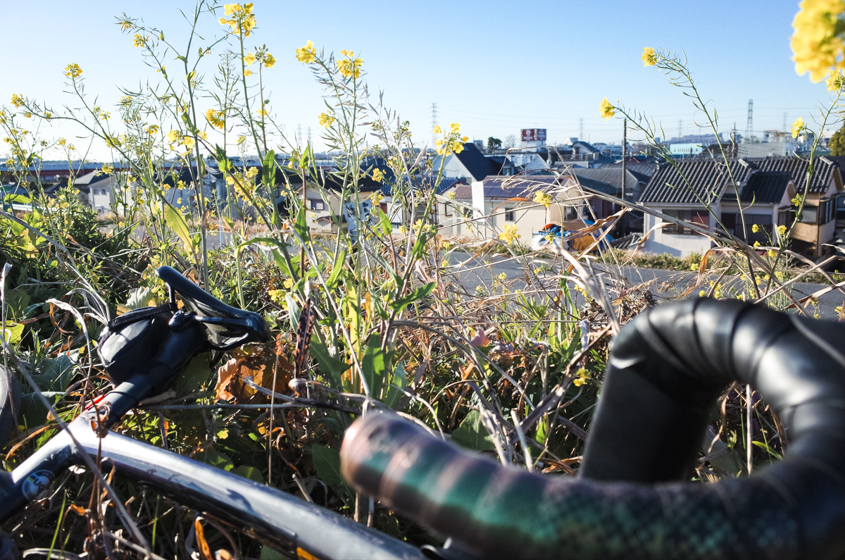 ロードバイク女子を走らせて食べるパンは美味いか？ 川島町でまたしても名店発見！ 「自家製天然酵母パンOHNO」が凄かった( _ ;) | Boriko Cycle｜ロードバイク ＆ マウンテン ...