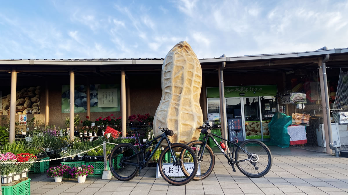 自転車乗り憧れのルートは千葉にあった！ グラベルバイク / MTB買ったら一度は行きたい千葉の素掘りトンネルを巡ってみた！ | Boriko Cycle｜ロードバイク ＆ マウンテンバイク ブログ