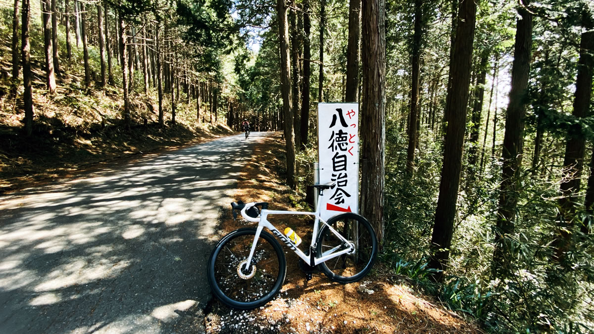 ロードバイクで見たい絶景が埼玉県にありました。Giant TCRで出会う八徳の一本桜！ | Boriko Cycle｜ロードバイク ＆ マウンテンバイク ブログ