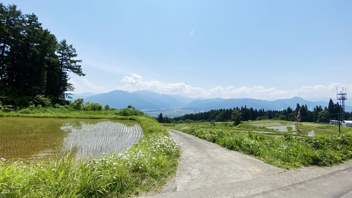 ロードバイクでは速過ぎてもったいない！！ 長岡サイクリングで出会う新潟の素敵な街並みと美味い酒とイタリアン！ | Boriko Cycle｜ロードバイク ＆ マウンテンバイク ブログ