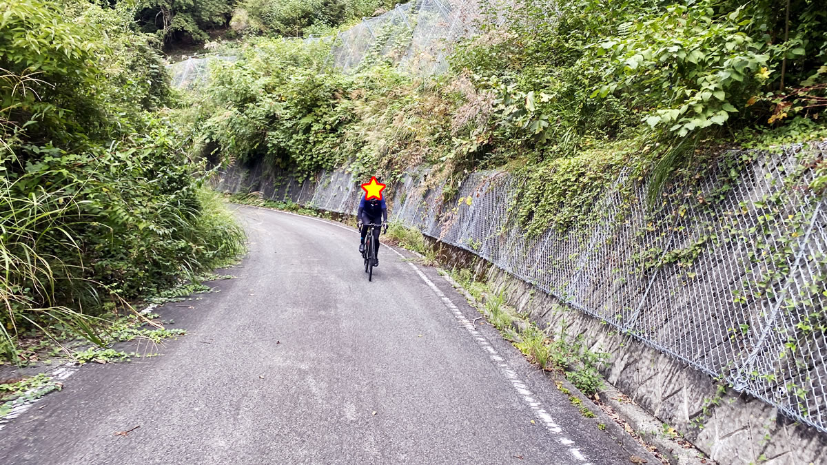 富士山だけじゃない！ 山梨の隠れた名ヒルクライムスポット「甘利山」にロードバイクで上ってみた！ | Boriko Cycle｜ロードバイク ＆ マウンテンバイク ブログ