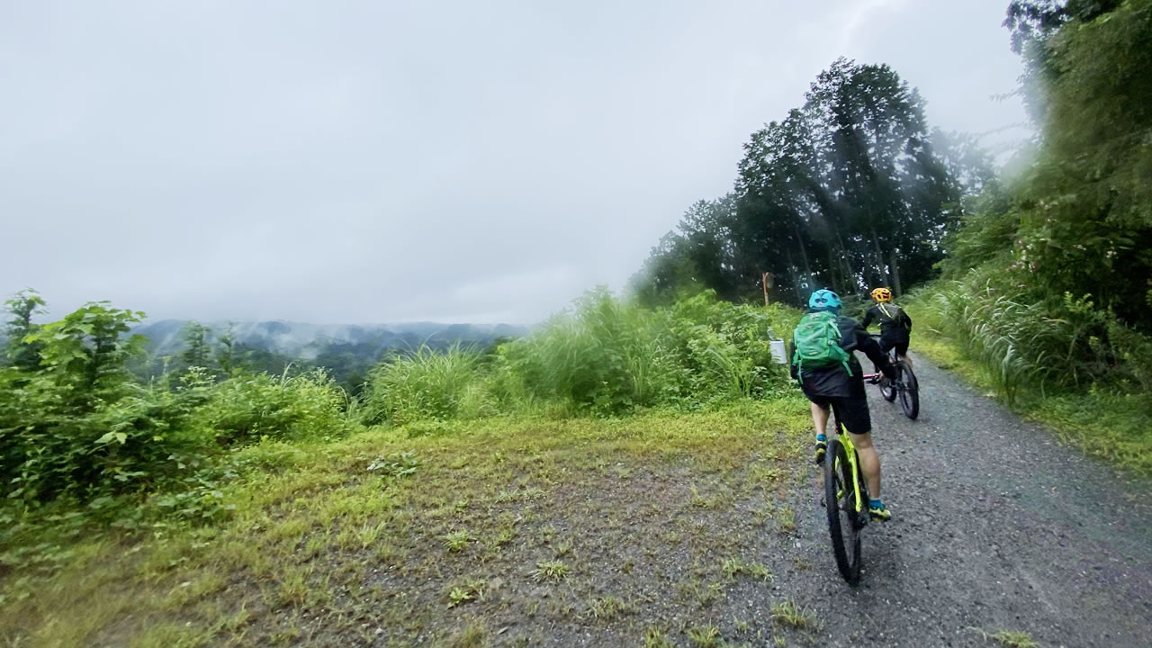 東京にも走ったことない道がまだまだいっぱいありました(∩´∀`)∩ マウンテンバイクで行く東京・酷道、グラベル林道 | Boriko Cycle｜ロードバイク ＆ マウンテンバイク ブログ