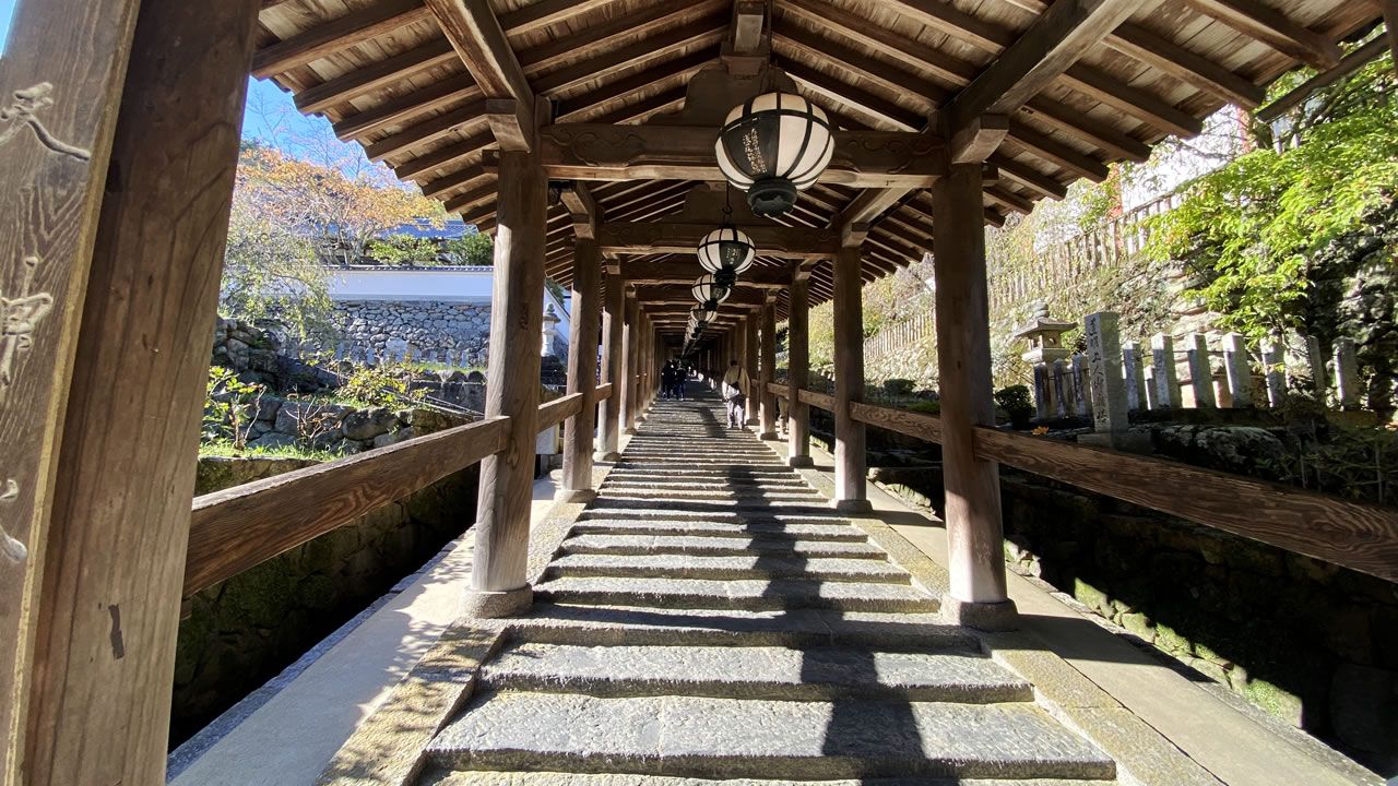 奈良の観光こそロードバイクが最適かもしれない！ 人生初の奈良旅行で感じた、奈良は広い、そして奈良は美味い | Boriko Cycle｜ロードバイク ＆ マウンテンバイク ブログ