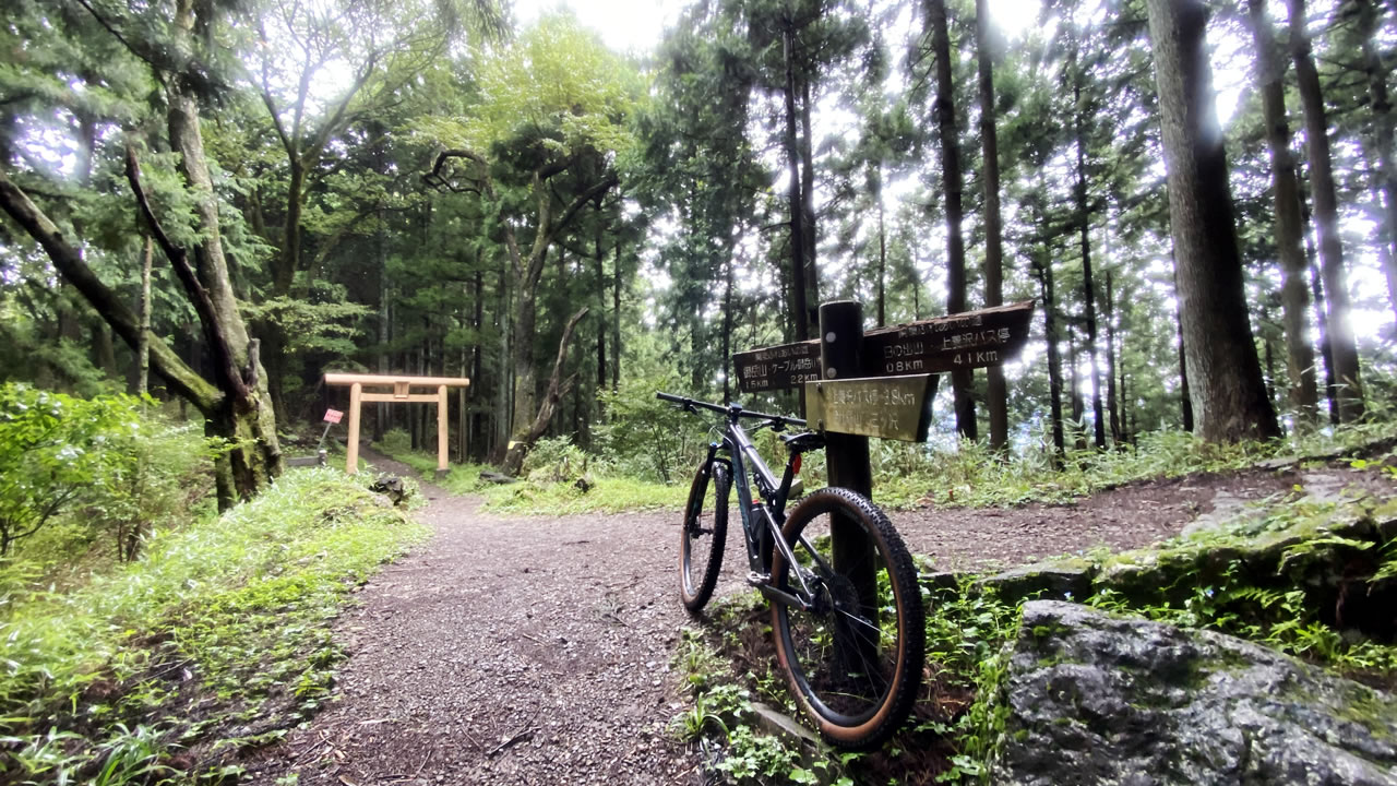 斜度20%超の激坂が都道( _ ;)!? 途切れた都道・都道184号線の途切れたその先にマウンテンバイクで行ってみた | Boriko Cycle｜ロードバイク ＆ マウンテンバイク ブログ