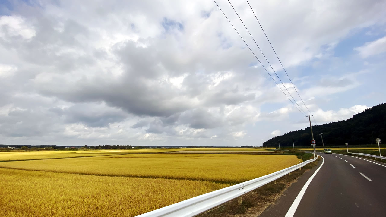 ロードバイクでめぐるディープ青森！ 十和田湖だけじゃない、青森県が世界に誇る魅惑と困惑のデスティネーション | Boriko Cycle｜ロードバイク ＆ マウンテンバイク ブログ