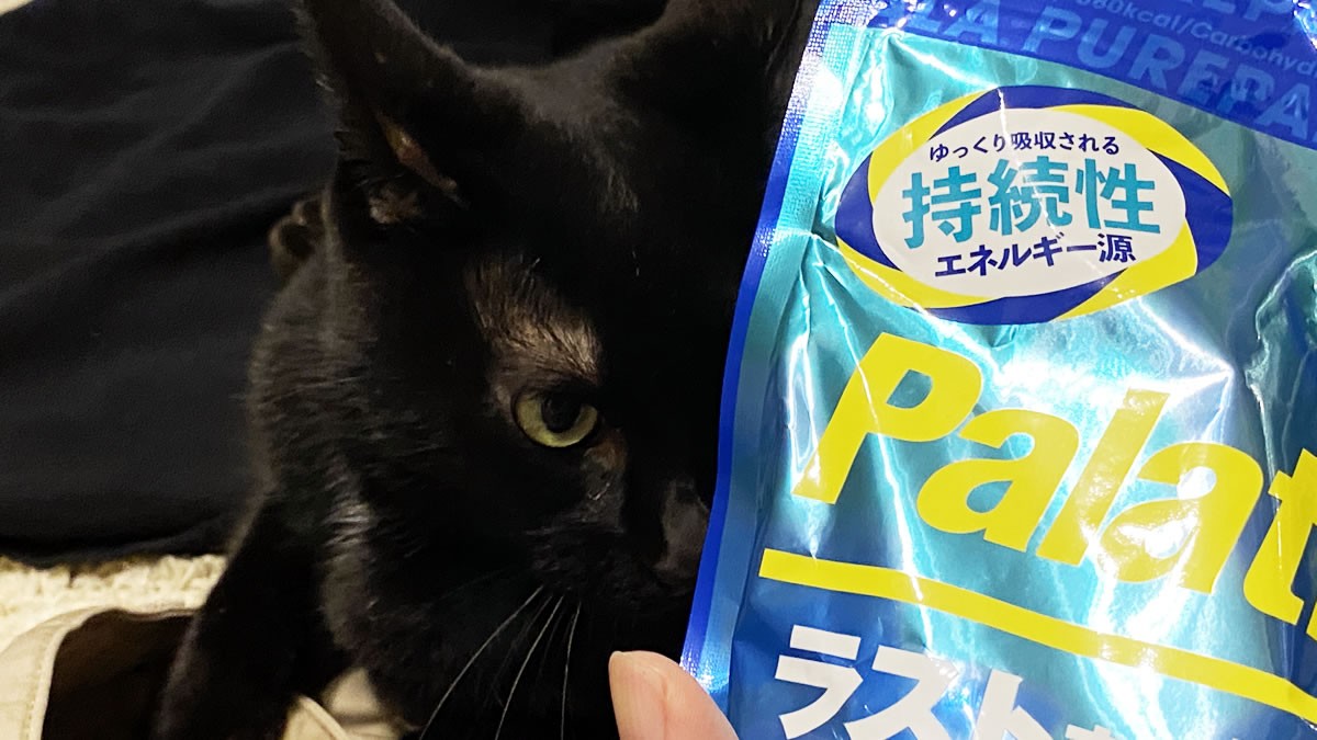 ロードバイク、お腹減り過ぎて漕げなくなるその前に！！ パラチノース、腹持ち良くって元気が続くかもしれません(^ω^) | Boriko Cycle｜ロードバイク ＆ マウンテンバイク ブログ