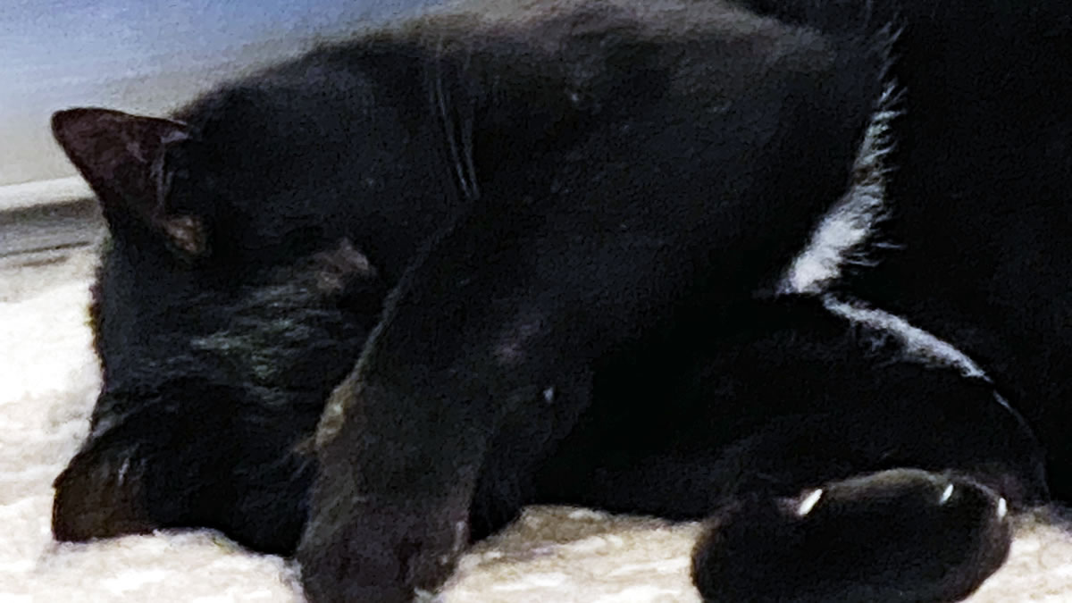 ロードバイク最大イベント・富士ヒルが終わった今だからこそ振り返りたい！ ロードバイクのフィットネスを落とさないための5つの教訓！ | Boriko Cycle｜ロードバイク ＆ マウンテン ...