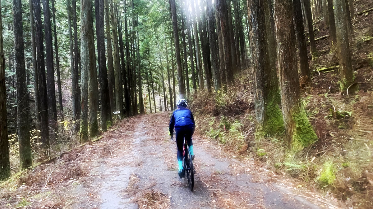 これはグラベルバイクが欲しくなるw パンク覚悟の路面状況な盆堀林道・入山峠をロードバイクで走ってみた！ | Boriko Cycle｜ロードバイク ＆ マウンテンバイク ブログ