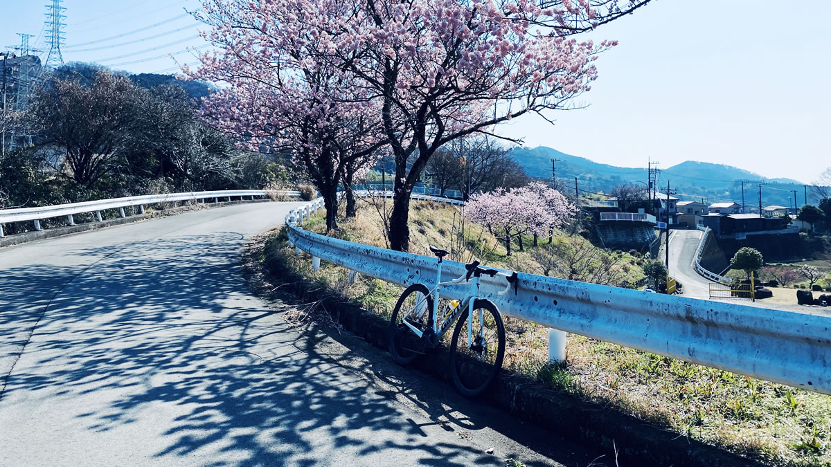 ロードバイクのFTPが上がって下がって、さらに下がりました／(^o^)\ 2025年3月のお楽しみFTP計測会の結果発表！ | Boriko Cycle｜ロードバイク ＆ マウンテンバイク ブログ