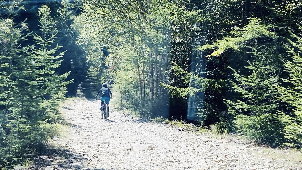 SDA王滝に次回は出るぞ！ 自転車乗りなら一度は上ってみたい大弛峠（極悪グラベルのほう）に挑戦してみた！ | Boriko Cycle｜ロードバイク ＆ マウンテンバイク ブログ