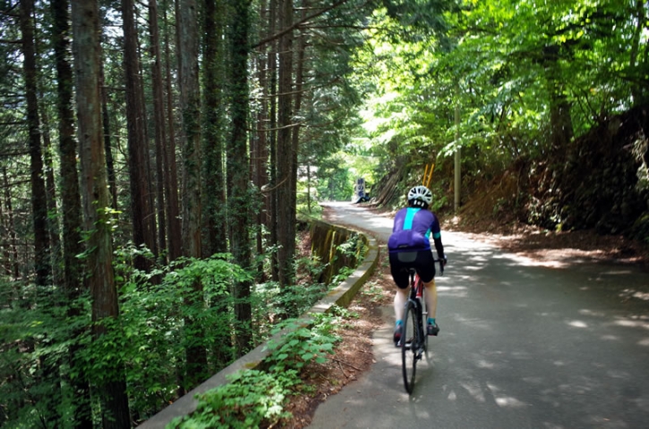 高回転vs低回転！ ヒルクライムでのケイデンス、その深き闇にGCNが迫る | Boriko Cycle｜ロードバイク ＆ マウンテンバイク ブログ